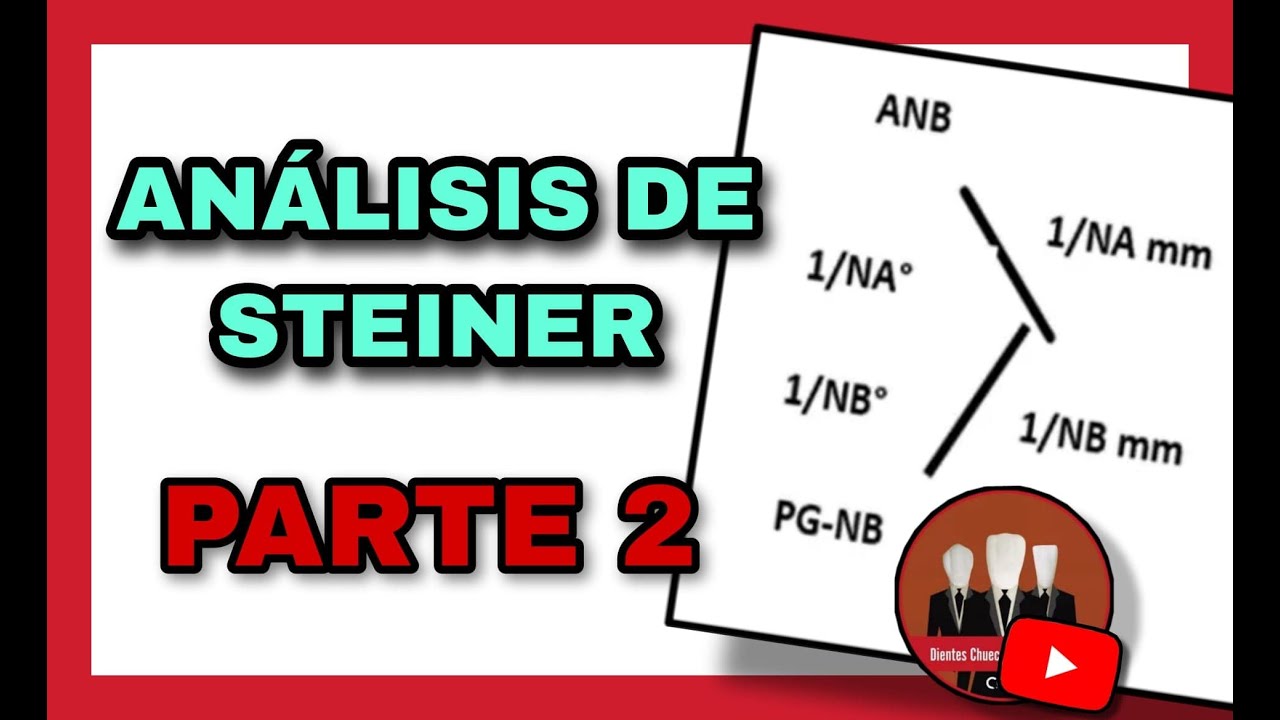 ¿Qué es el Casillero de Steiner en Ortodoncia? Funcionamiento y ...