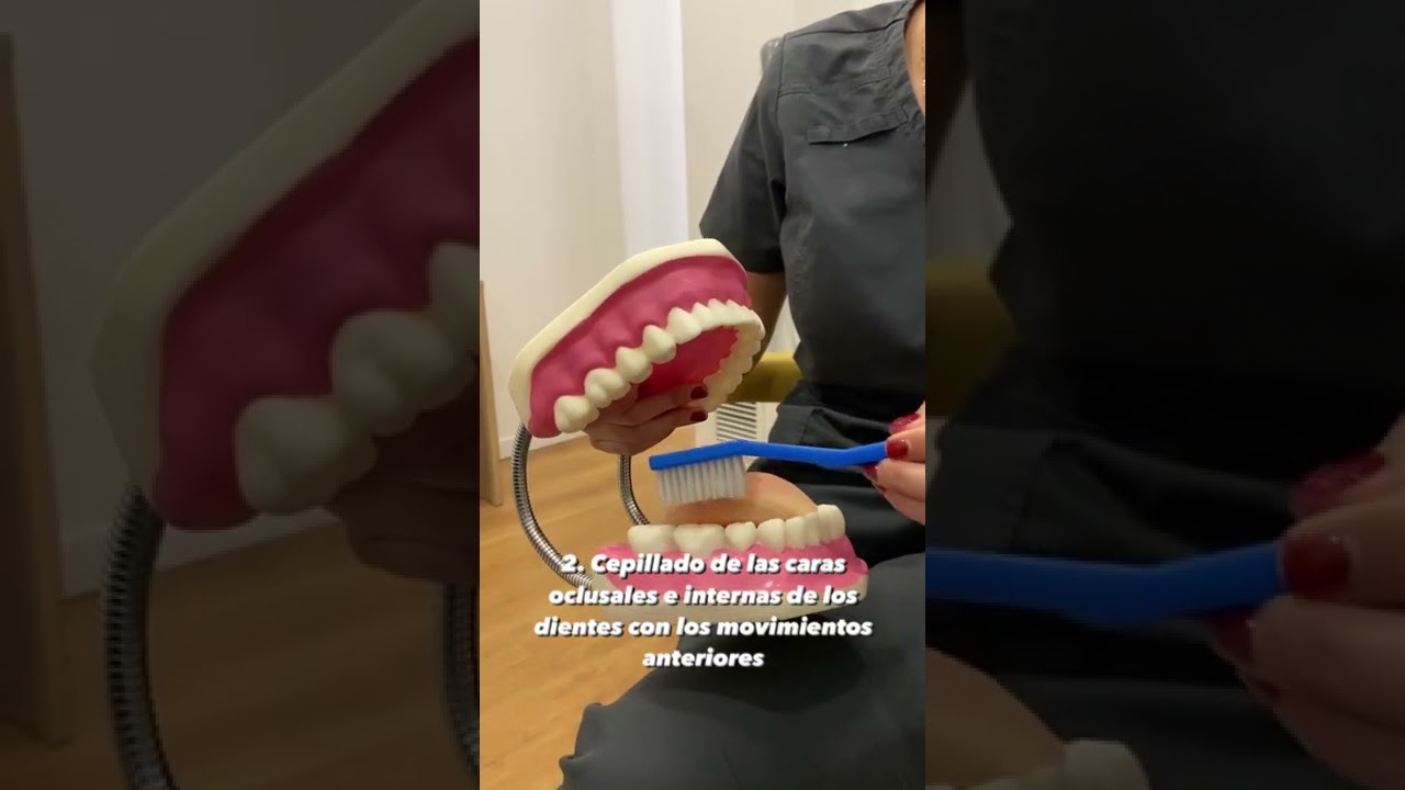 ¿Qué es la Ortodoncia TIIZ? Beneficios y Ventajas de este Tratamiento ...